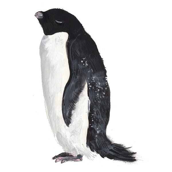 Adelie Penguin Print by Abby Cook Illustration | Penguin Art Print ...