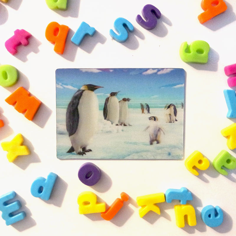 Penguin Scene 3D Lenticular Fridge Magnet - The Penguin Patrol