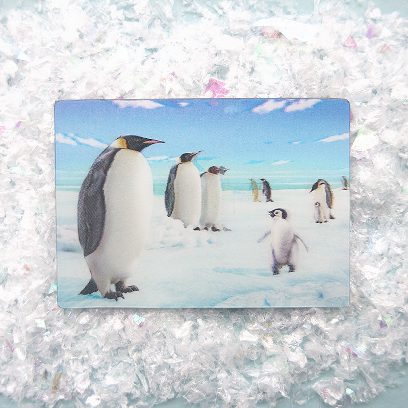 Penguin Scene 3D Lenticular Fridge Magnet - The Penguin Patrol